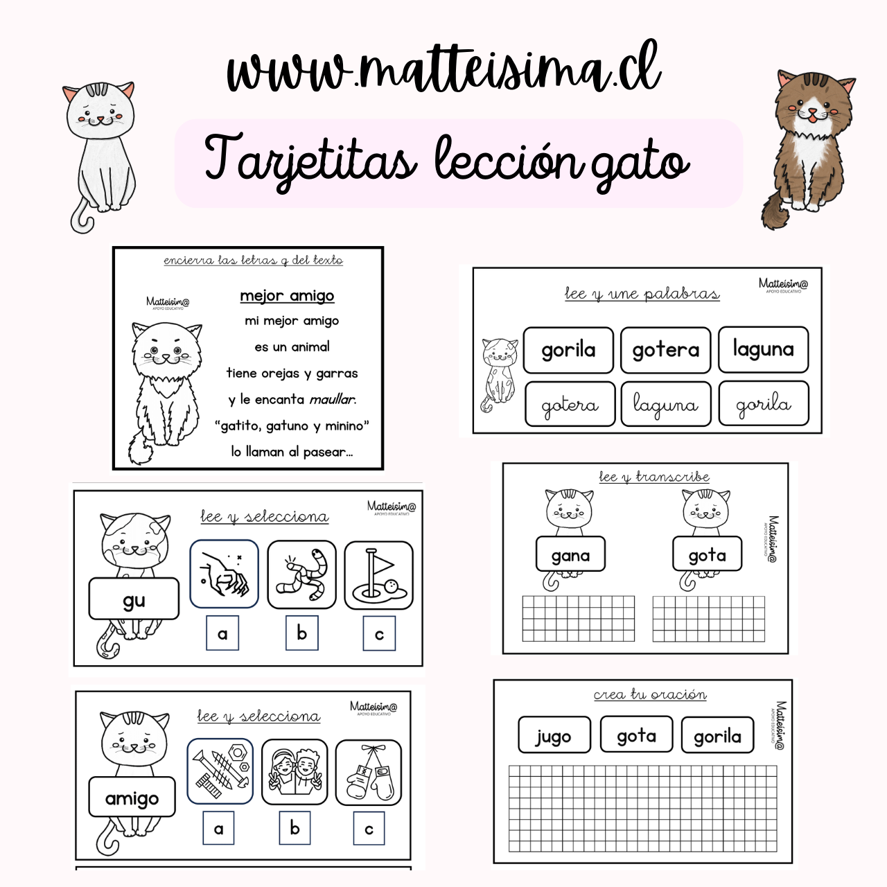 Tarjetitas lección gato – Matteisima